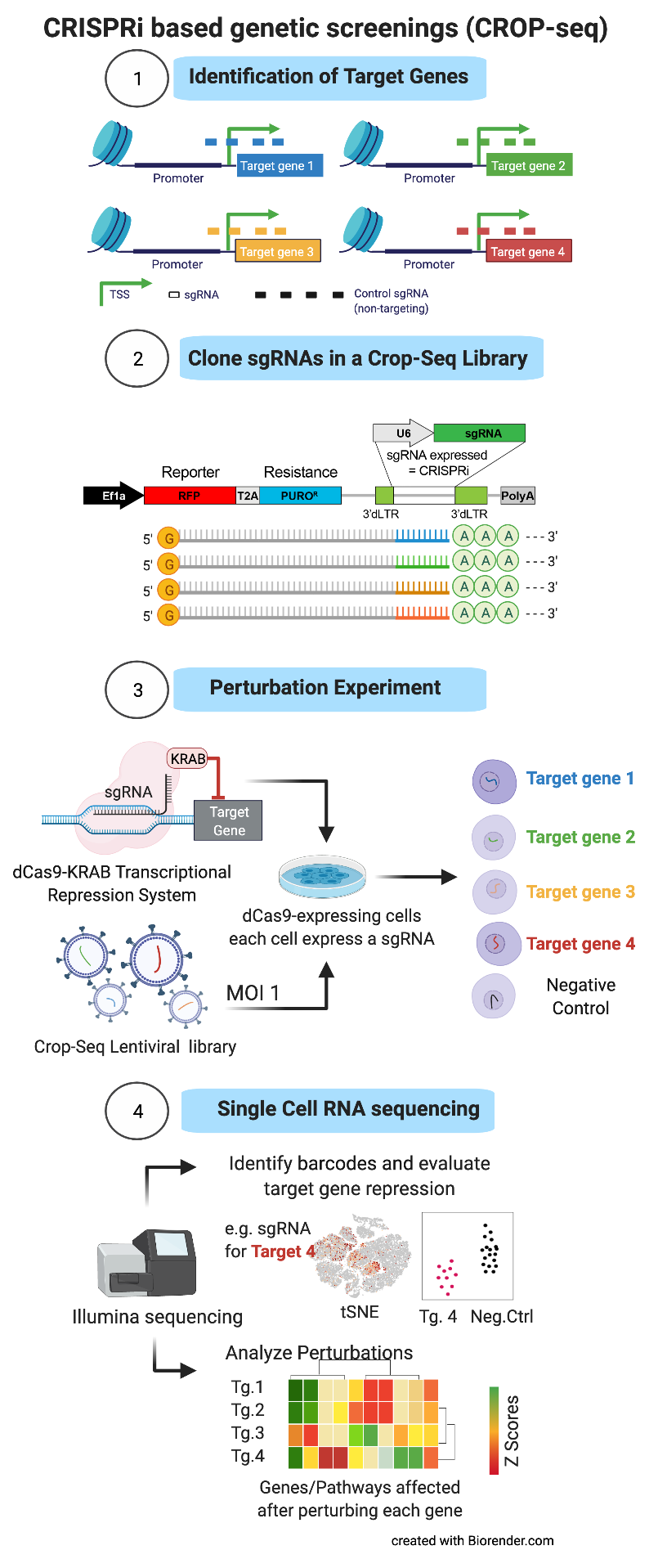 Technologies - Genomic Science - IIT